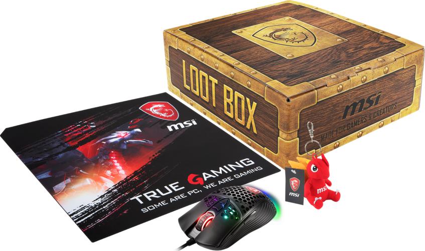 Msi GF65 Thin 10UE-041XFR + Loot Box Pack L1 - PC Portable gaming