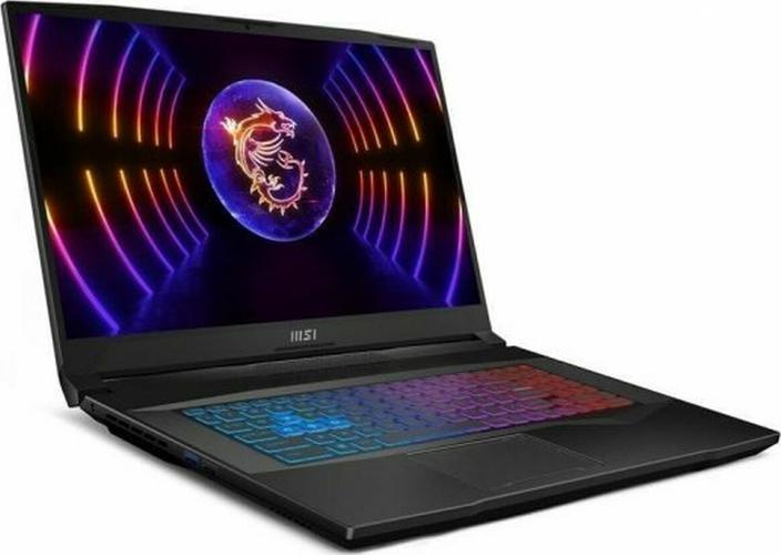 Msi MSI Pulse 17 B13VFK-686XES Intel Core i9-13900H 32 GB RAM - PC Portable